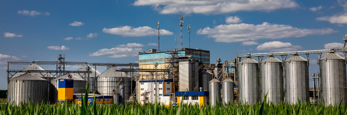 O agro é tudo? Financeirização como novo atributo da economia agrária ...
