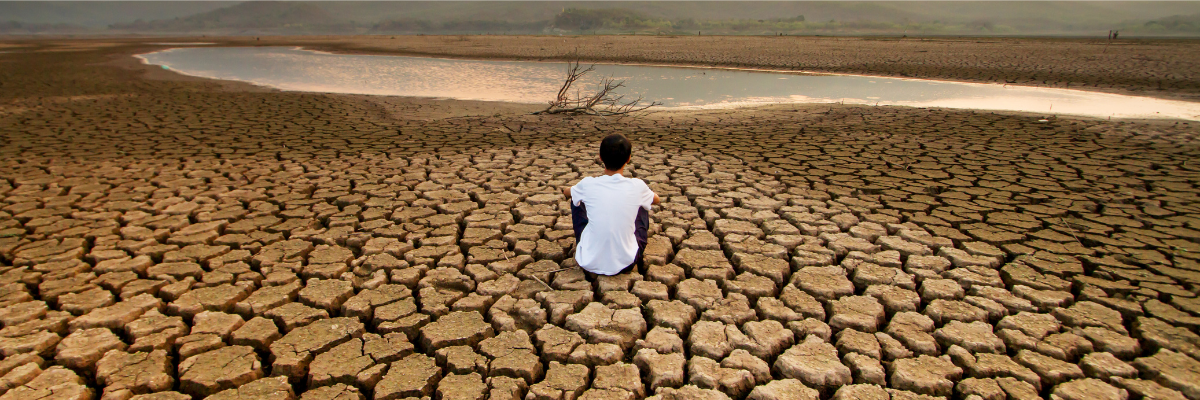 Como as comunidades amazônicas enfrentam a seca - Instituto Humanitas ...