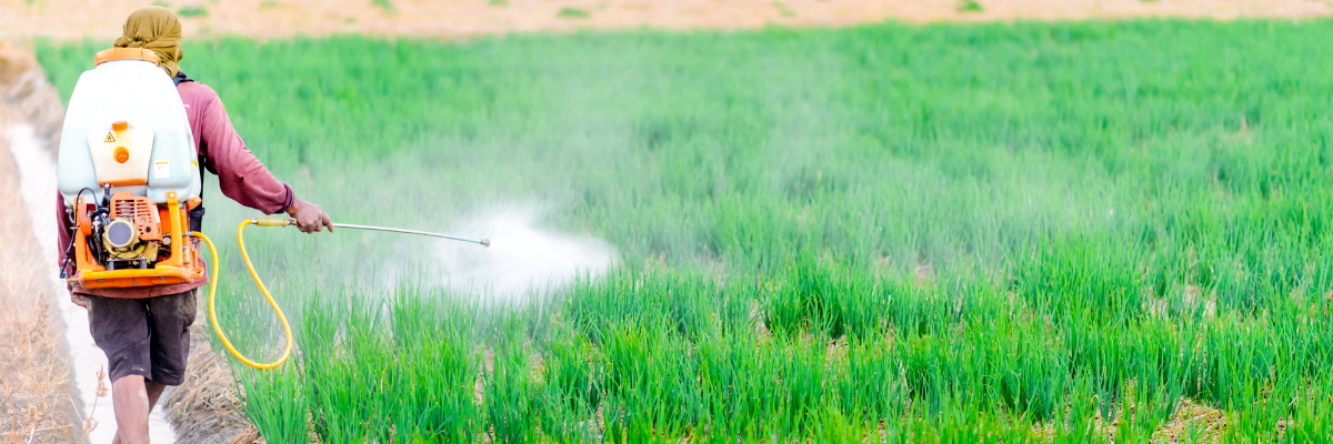 Recusa do Ministério da Agricultura em incorporar redução de ...