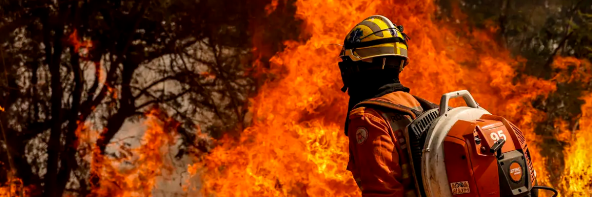 Entenda o que foi o “dia do fogo” citado por Marina Silva - Instituto ...