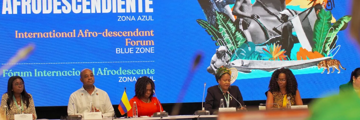 COP16 pode reconhecer papel dos afrodescendentes na conservação ...