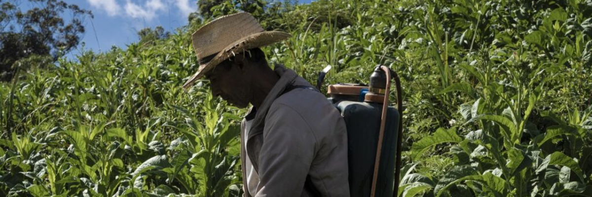 Como a indústria usa a ciência para defender uso de agrotóxicos ...