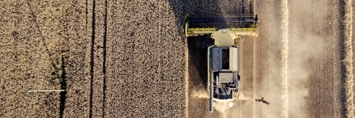 Câncer, malformação, “viroses”: a crise de saúde puxada por agrotóxicos ...