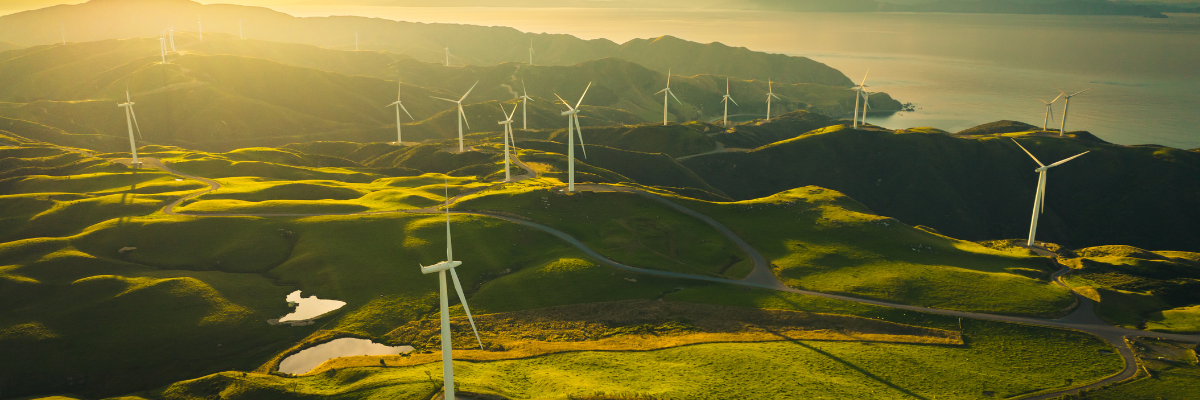 Programa de transição energética é aprovado no Senado com “pacotão de ...