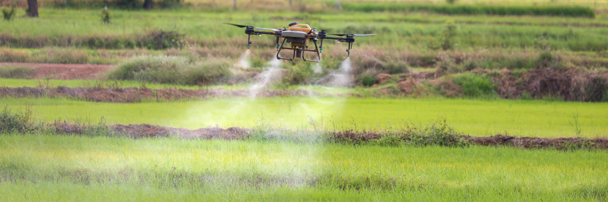 Movimentos, parlamentares e Igreja criticam PL sobre pulverização de ...