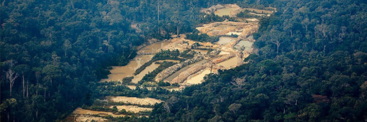 Garimpo ilegal ocupa quase 14 mil hectares em Unidades de Conservação ...