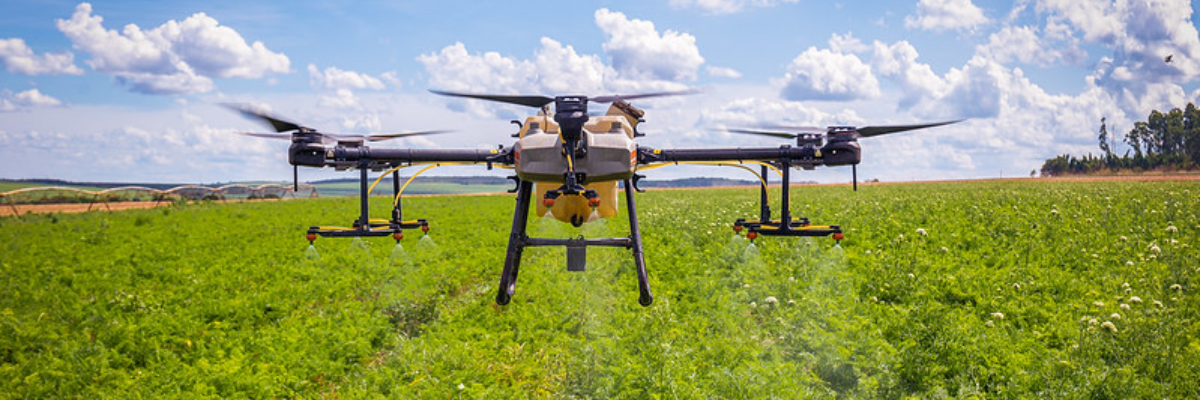 Drones respondem por 94% das contaminações por agrotóxicos no Maranhão ...