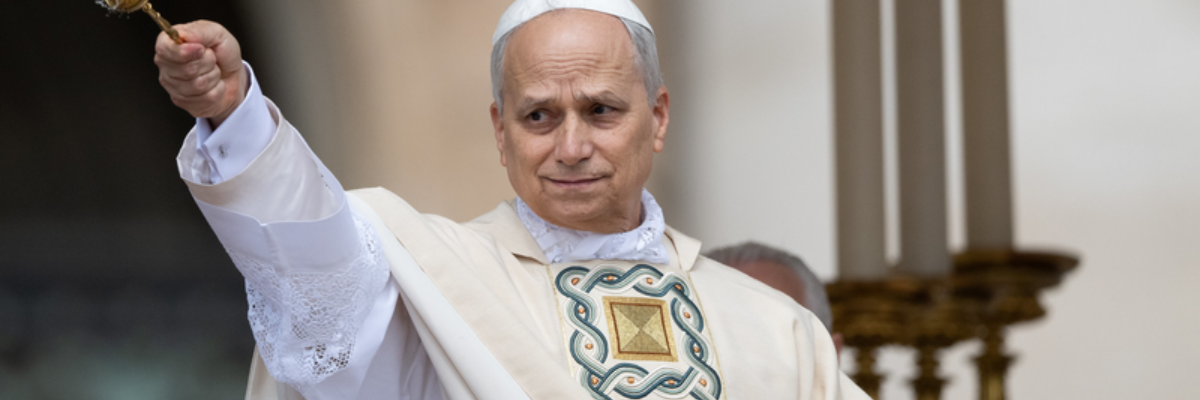 Papa Leão XIV condena exploração excessiva da natureza - Instituto ...