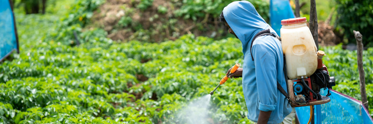 Agrotóxicos no Brasil: Os impactos na saúde, biodiversidade e nos ...