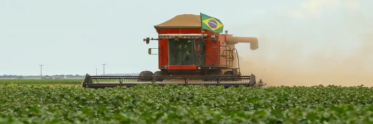 Sozinho, agro brasileiro emite mais que qualquer país da América do Sul ...