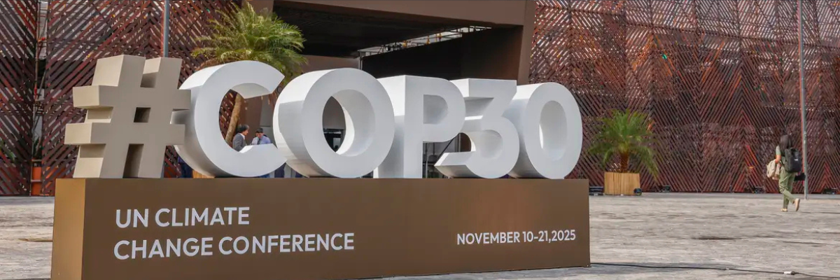 Os progressistas devem demonstrar na COP30 que as democracias podem ...