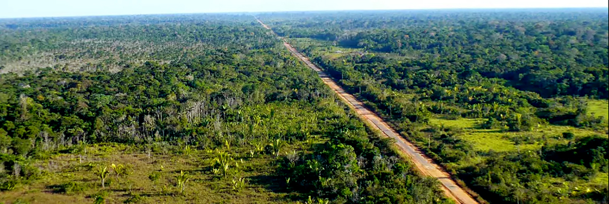 Projeto permite asfaltar estrada na Amazônia sem licença - Instituto ...