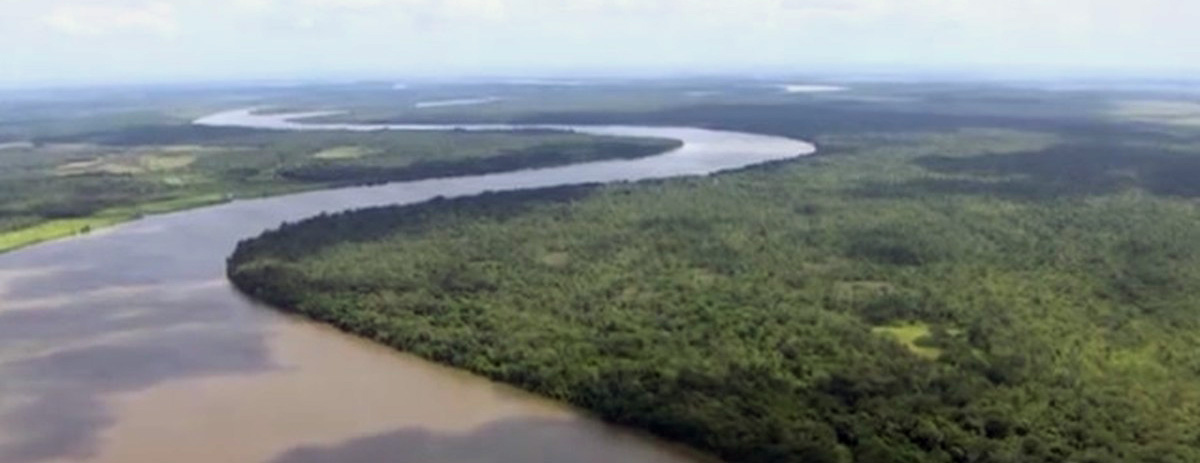 Amazônia em pé vale sete vezes mais do que lucro de exploração, diz ...